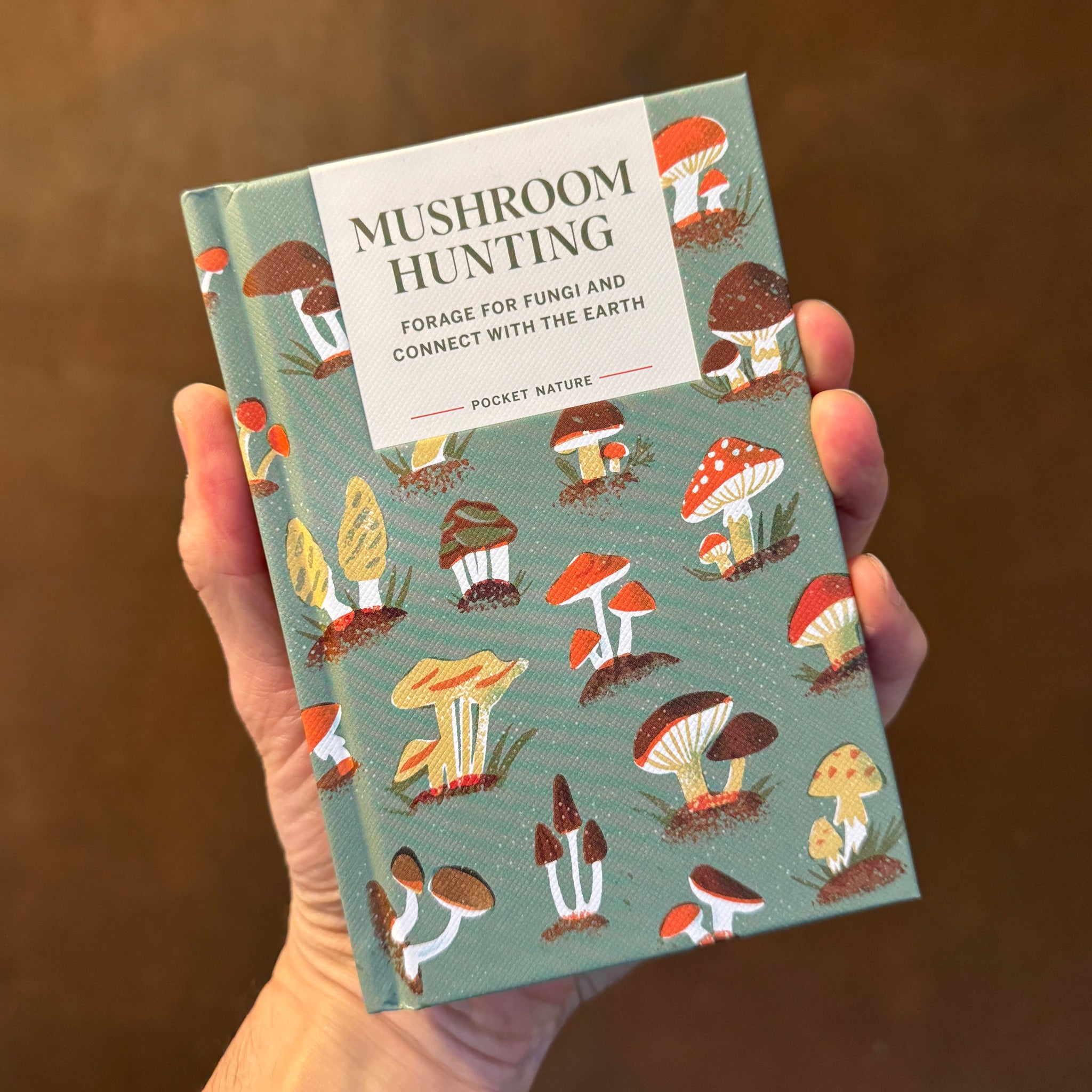 Mushroom Hunting: Forage for Fungi and Connect with the Earth | grow ...