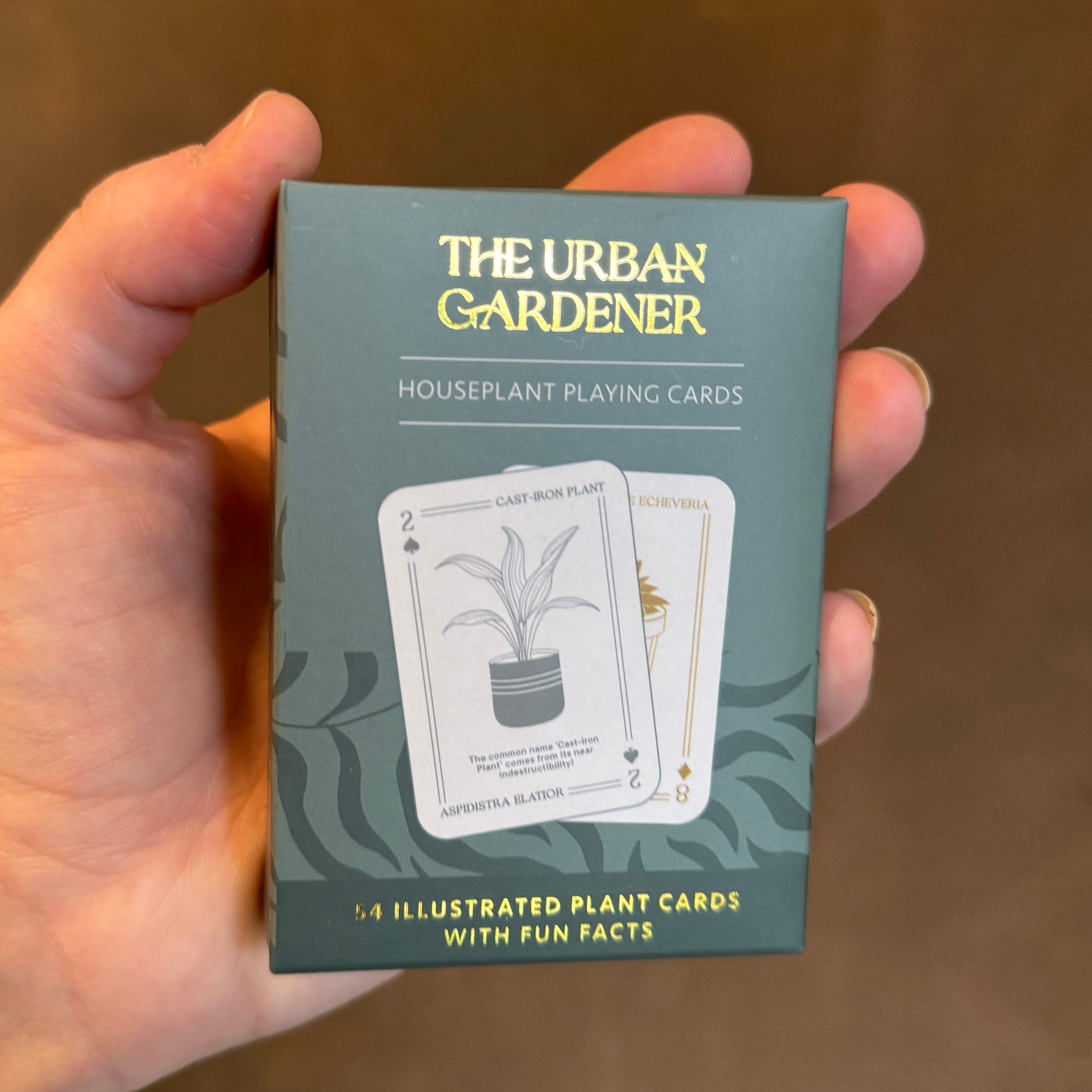 Houseplant Playing Cards | grow urban. Edinburgh