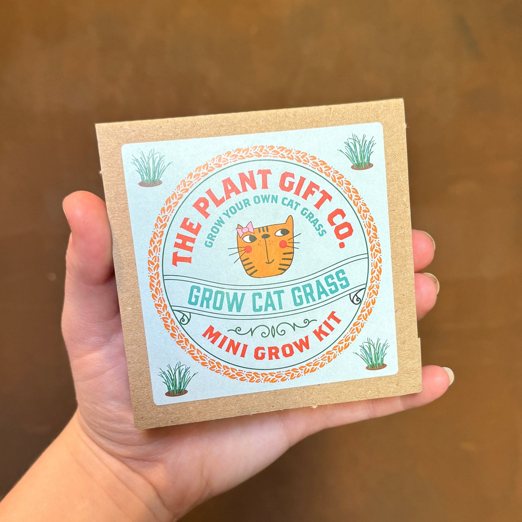 Mini Grow Kit – Cat Grass, Chilli & Kitchen Herb Seed Kits – grow urban.