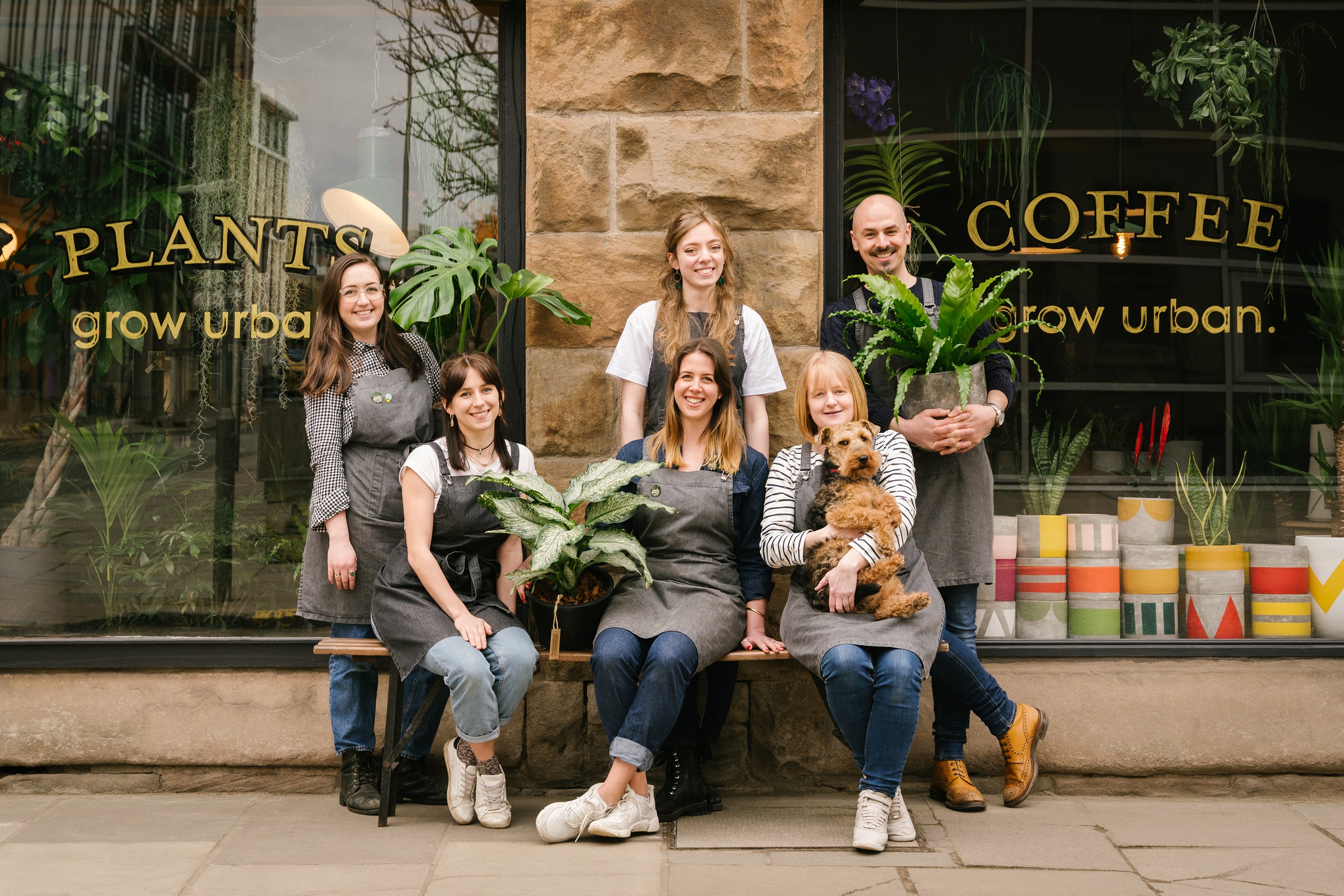Mushroom Grow Kit | Urban Farm-It | grow urban. Edinburgh