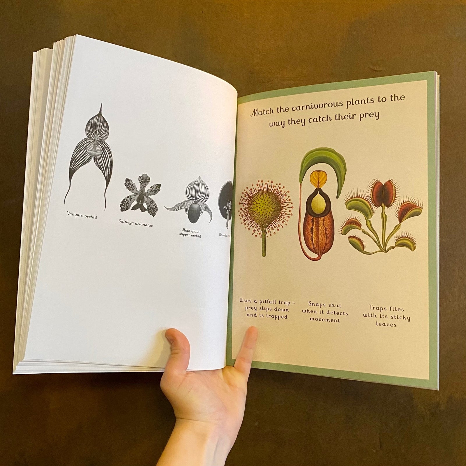 Botanicum Activity Book | grow urban. Edinburgh