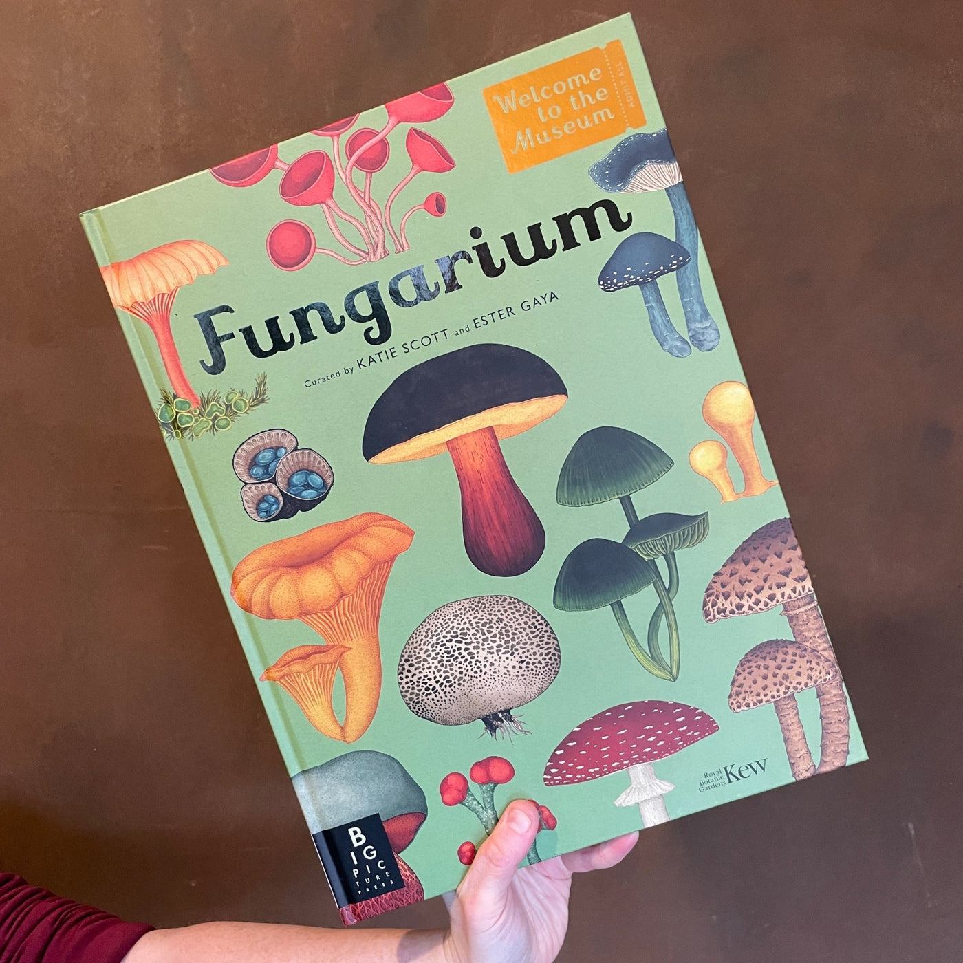 Fungarium | grow urban. Edinburgh