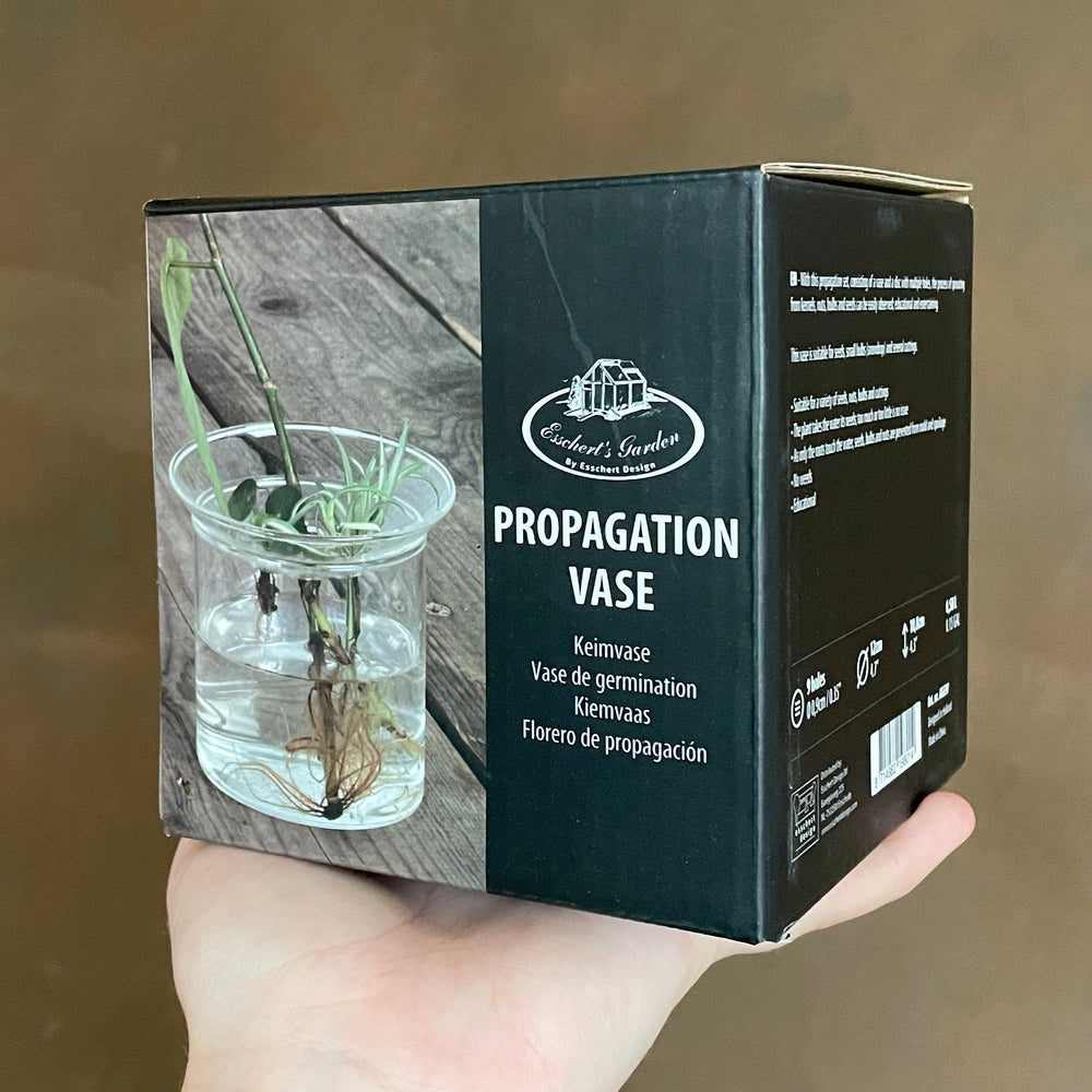 Glass Propagation Vase | Multi-Hole Plant Cutting Jar – grow urban.