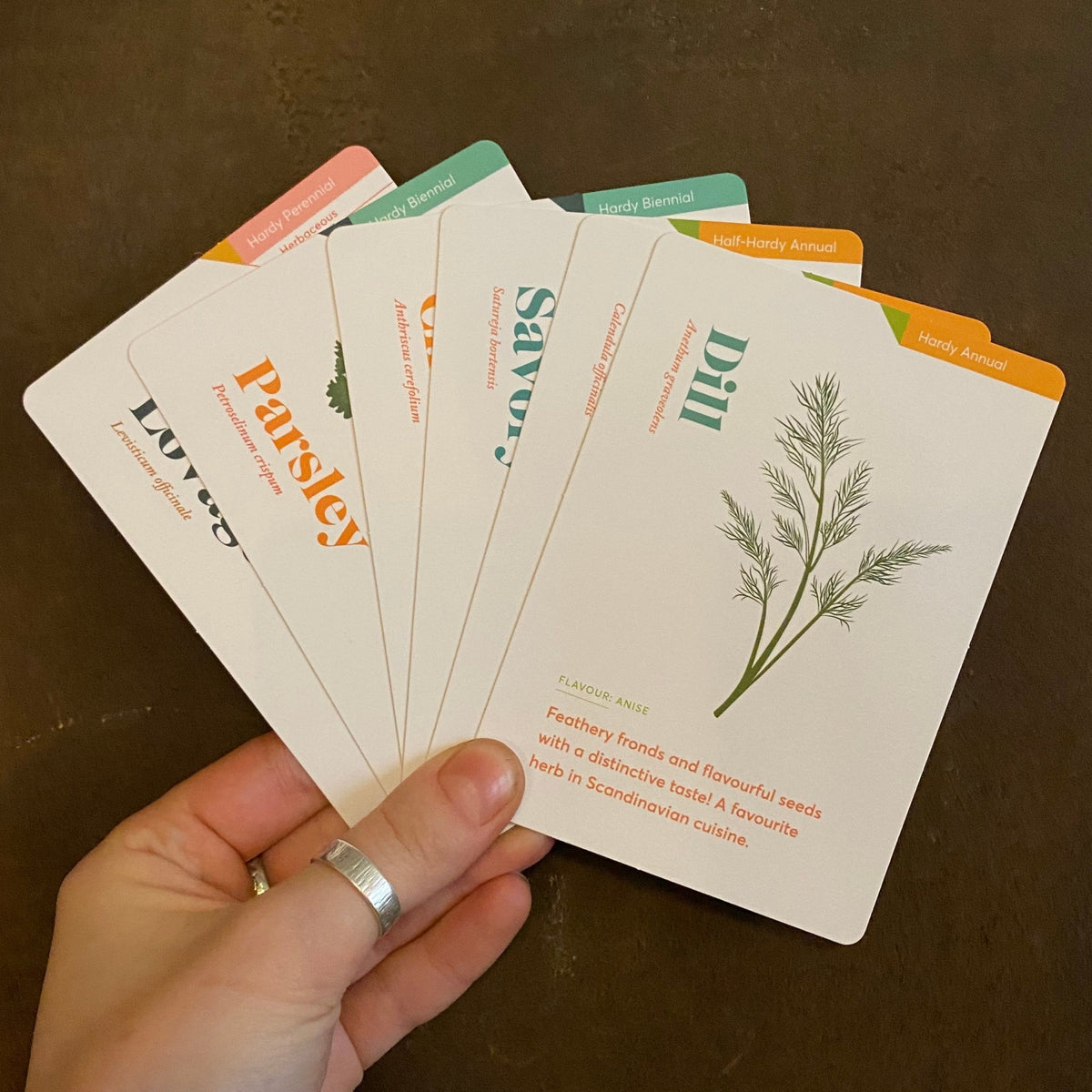 Herb Care Cards | grow urban. Edinburgh