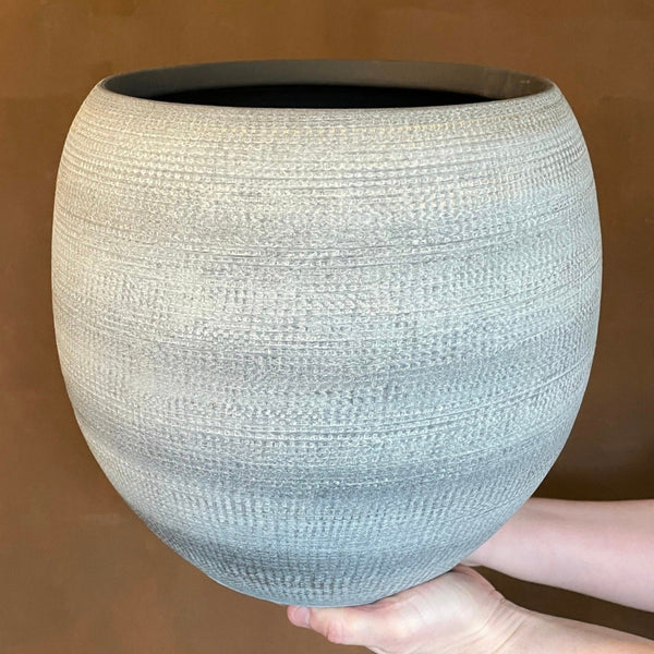 Philodendron ‘Millions’ (19cm pot) | grow urban. Edinburgh