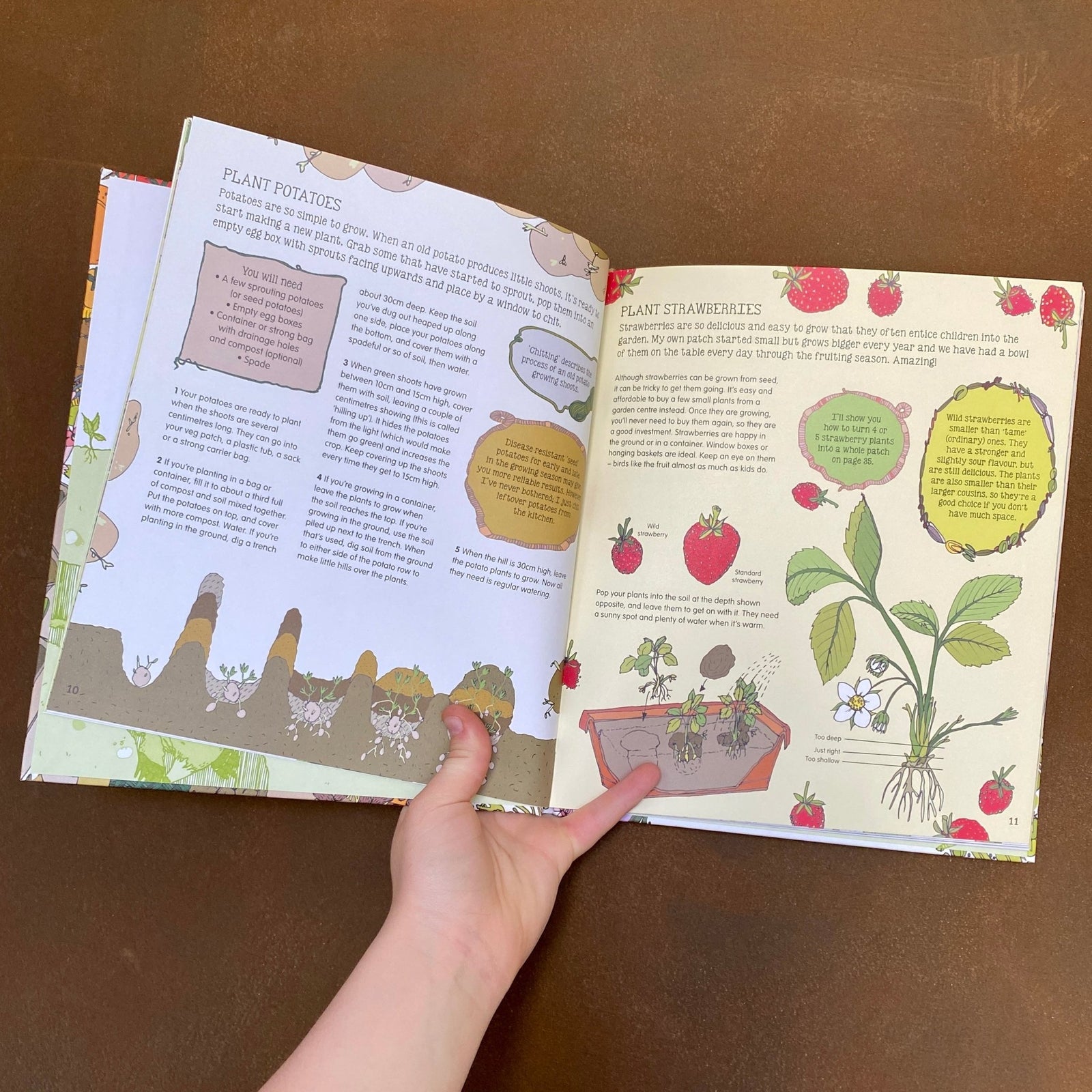 Plant, Sow, Make & Grow | grow urban. Edinburgh