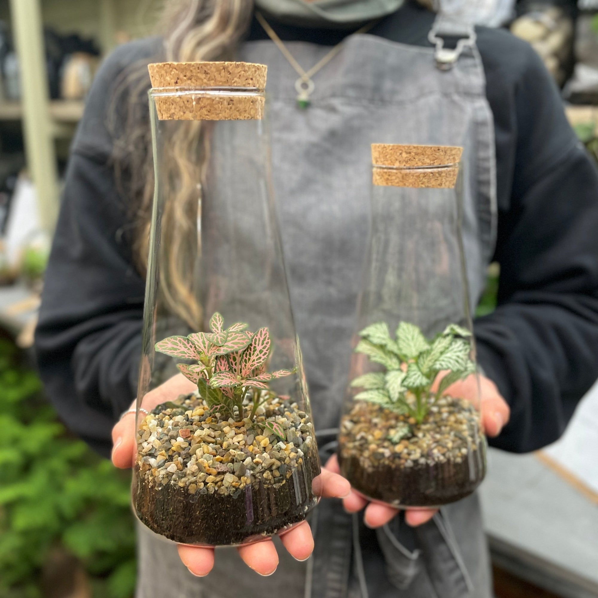 Small Conical Terrarium | grow urban. Edinburgh