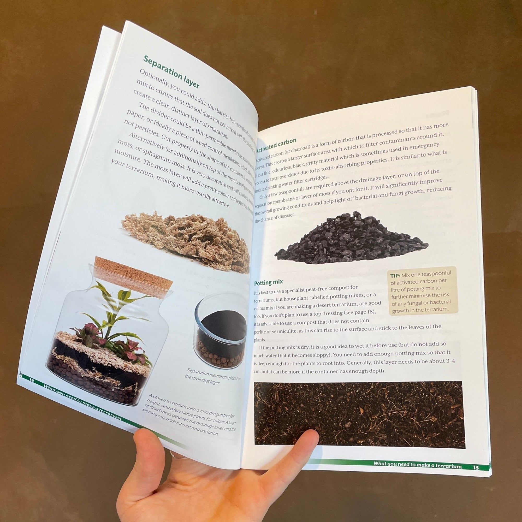 Terrariums: A Beginner's Guide | grow urban. Edinburgh